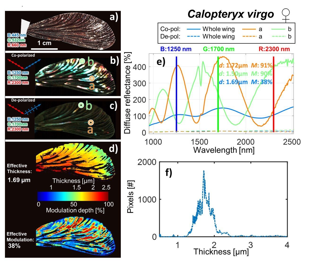 Monitoring insect diversity with hyperspectral lidar - NKT Photonics