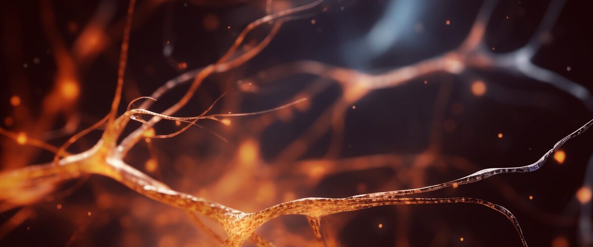 Two-photon holographic optogenetics - NKT Photonics